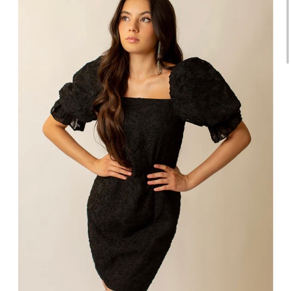 Dresses | Adorned In Lace This Sweet Dress With A Dramatic Puff Sleeve ...